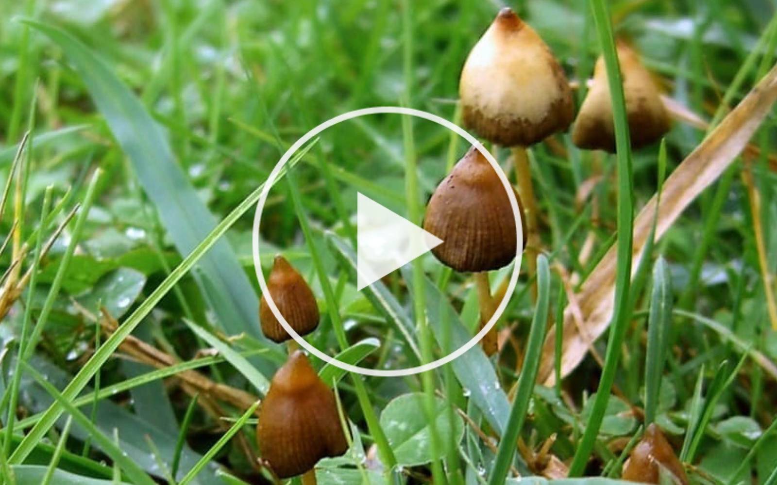 Simon Keenlyside | Grange Park Opera