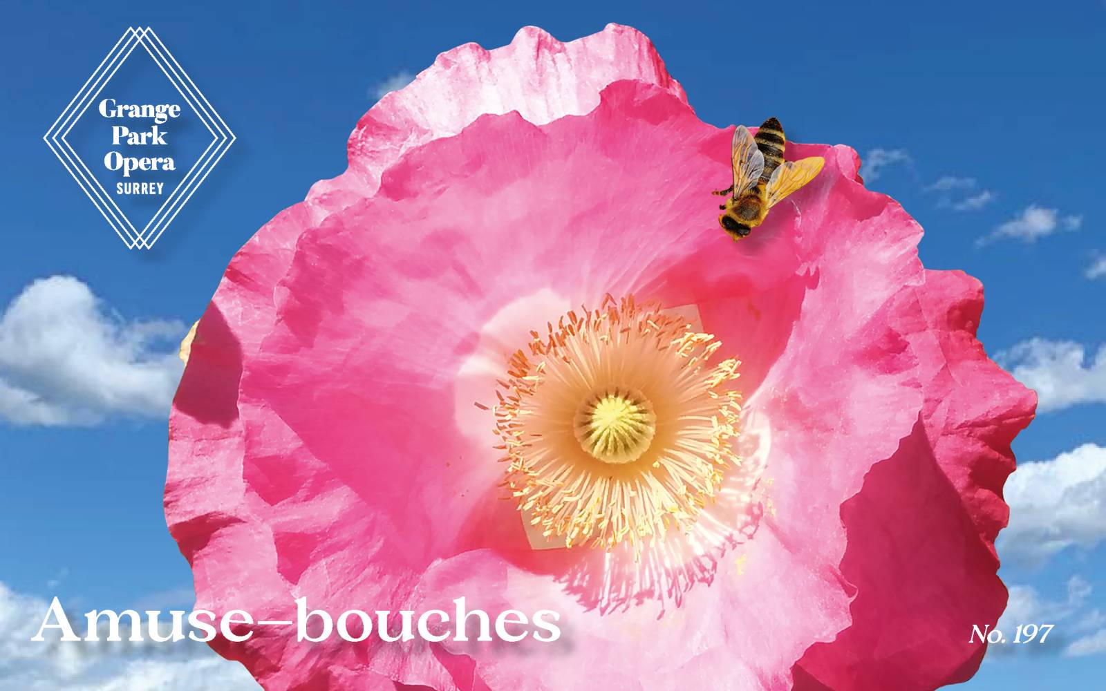 Amuse-bouches 2024 | Grange Park Opera